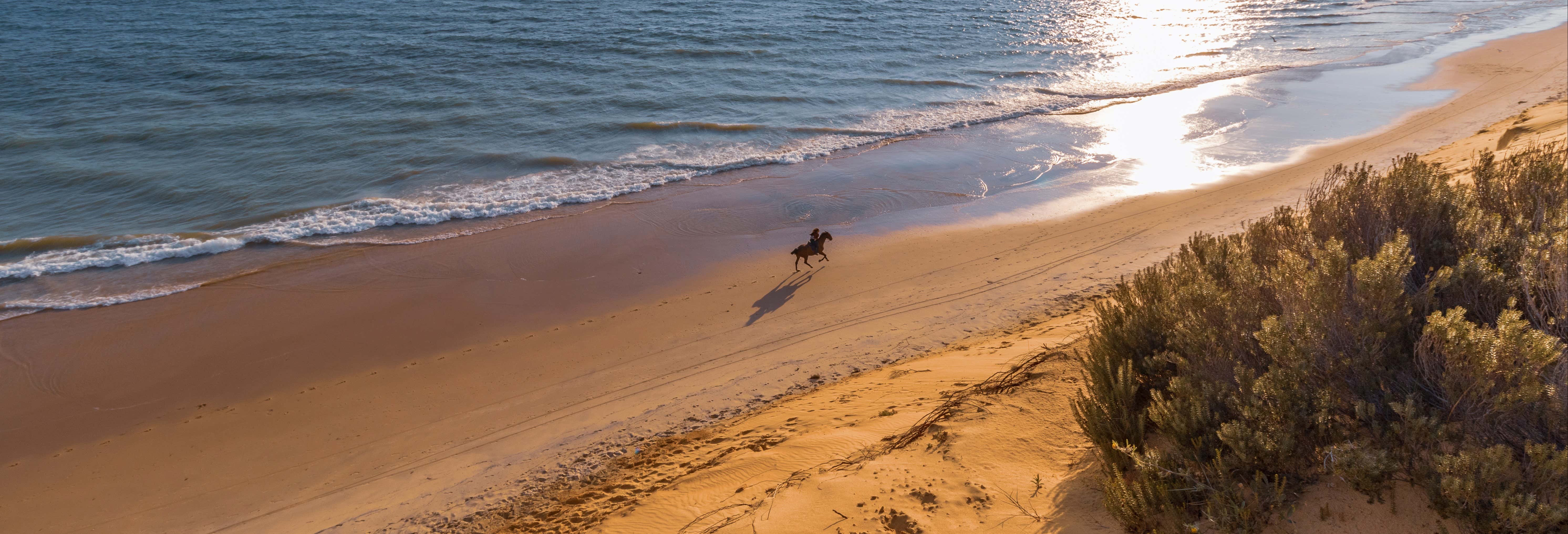 Excursiones, visitas guiadas y actividades en Matalascañas