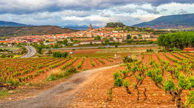 Excursiones, visitas guiadas y actividades en Navarrete