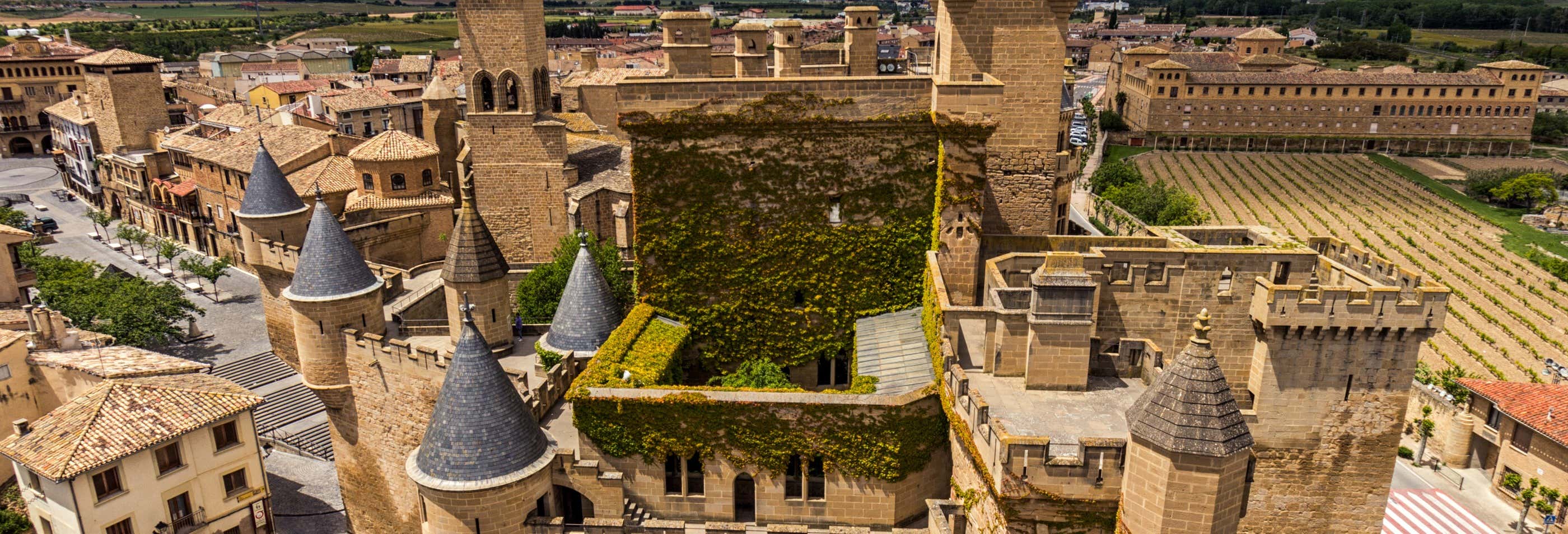 Activities, Guided Tours and Day Trips in Olite - Civitatis.com