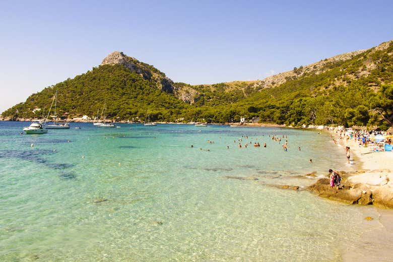 Formentor Beach & Traditional Markets Day Trip from the South in Magaluf