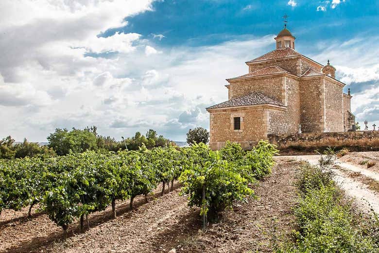 Visita a las bodegas Dominio Lubiano en Peñafiel - Civitatis.com