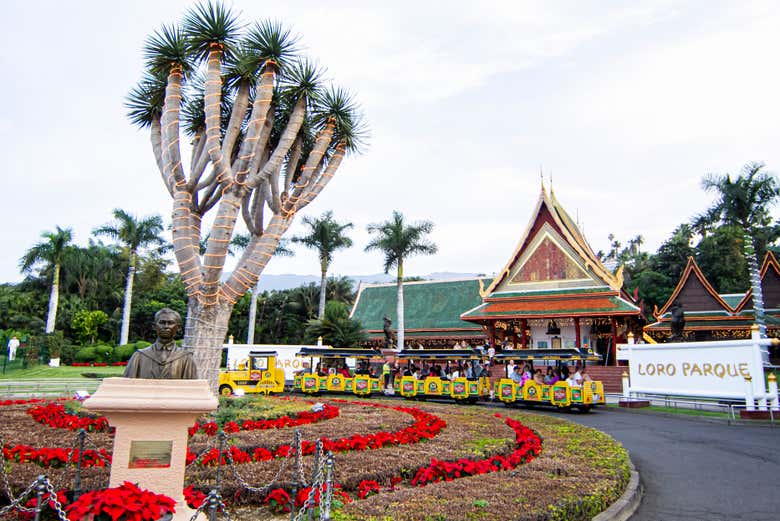 Loro Park & Siam Park Tickets, Puerto de la Cruz