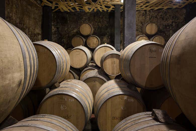 Visita a la bodega Menade, Rueda
