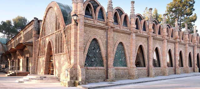 Avis - Visite des caves à vin Codorníu, Sant Sadurní d'Anoia