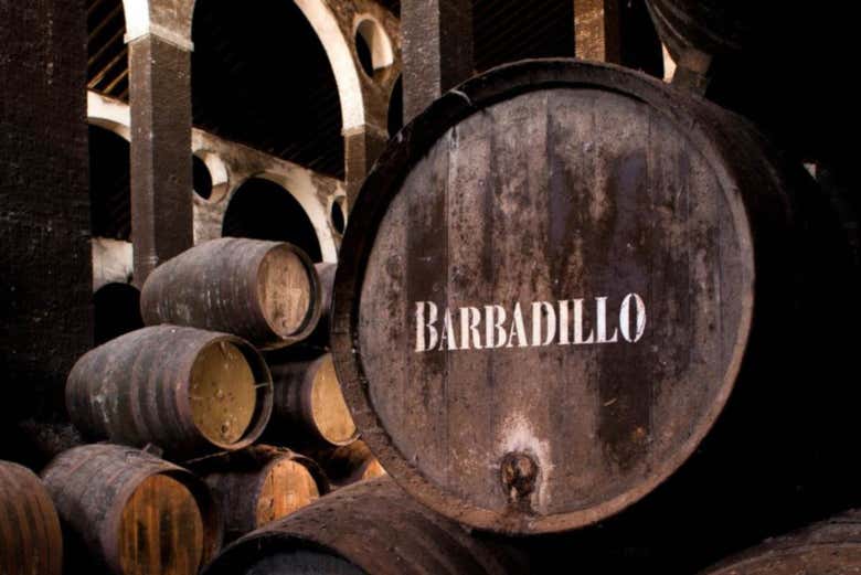 Bodegas Barbadillo Guided Tour, Sanlúcar de Barrameda