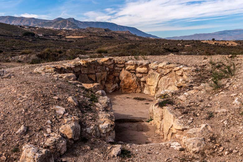 Visita guiada por el yacimiento arqueológico de Los Millares, Santa Fe ...