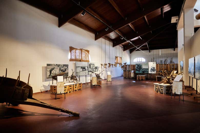 Visita a las bodegas Fariña, Toro