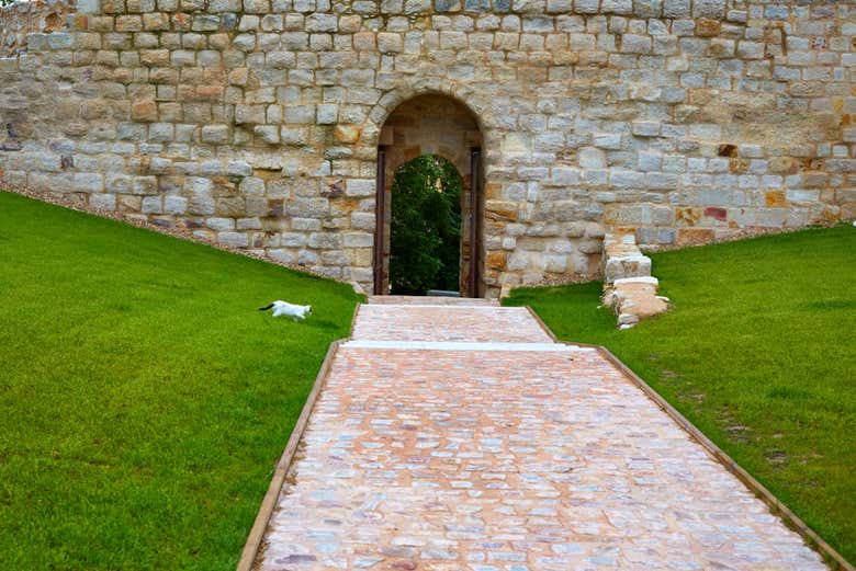 Visita guiada por Zamora - Reserva online en Civitatis.com