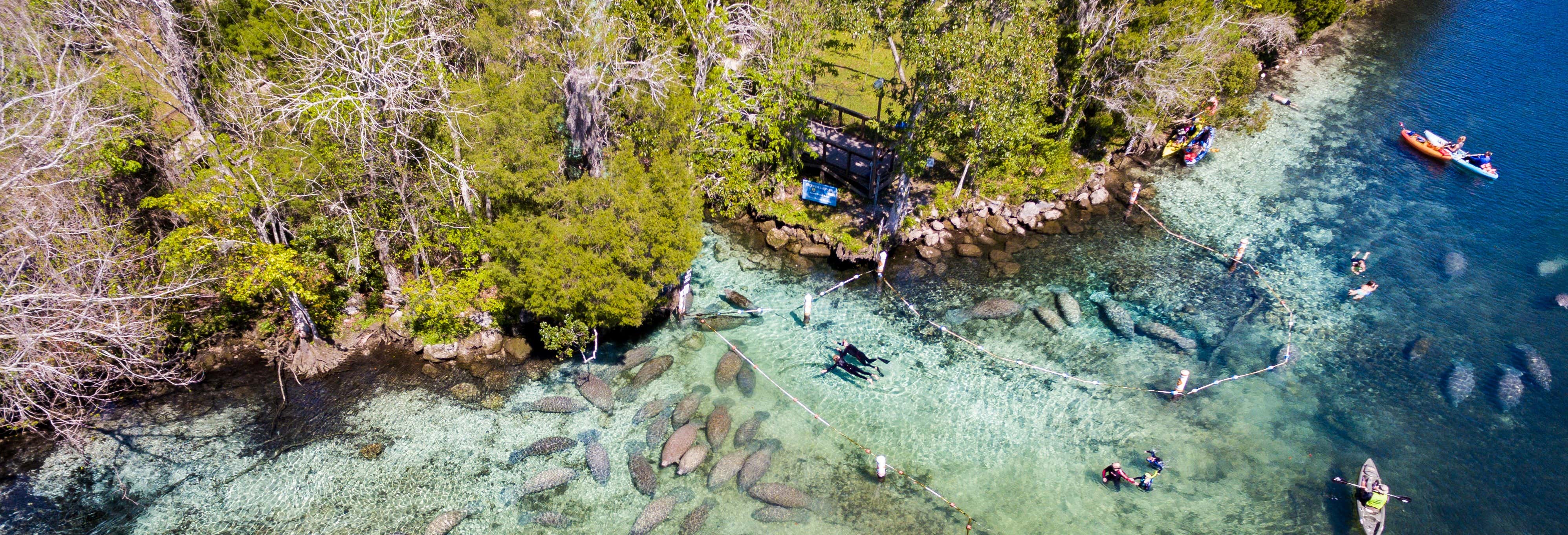 Excursiones, visitas guiadas y actividades en Crystal River