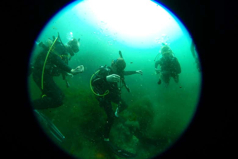 Scuba Diving in Rainbow River from Crystal River - Civitatis.com