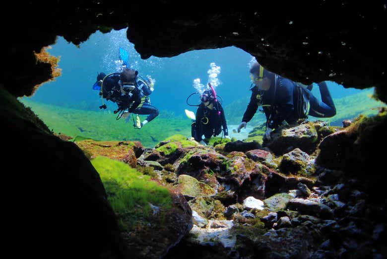 Scuba Diving in Rainbow River from Crystal River - Civitatis.com