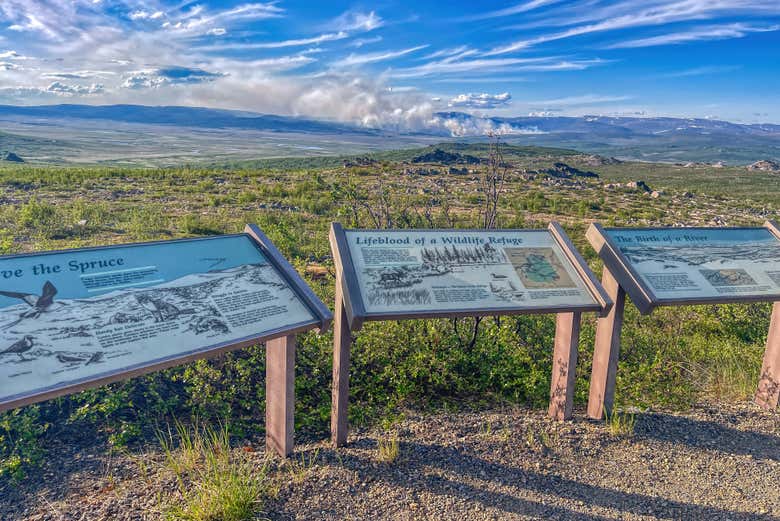 Excursión al Círculo Polar Ártico desde Fairbanks