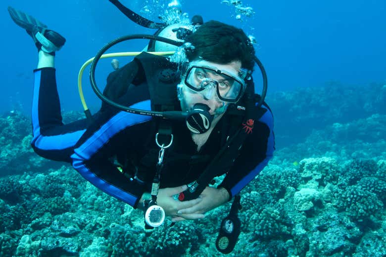 Maui Scuba Diving Introduction in Lahaina - Book at Civitatis.com