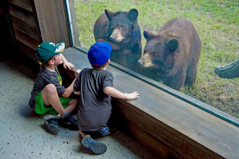 Ingresso do Zoo Miami - Reserve online em Civitatis.com