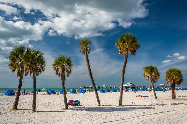 Excursión a Clearwater Beach desde Orlando - Civitatis.com
