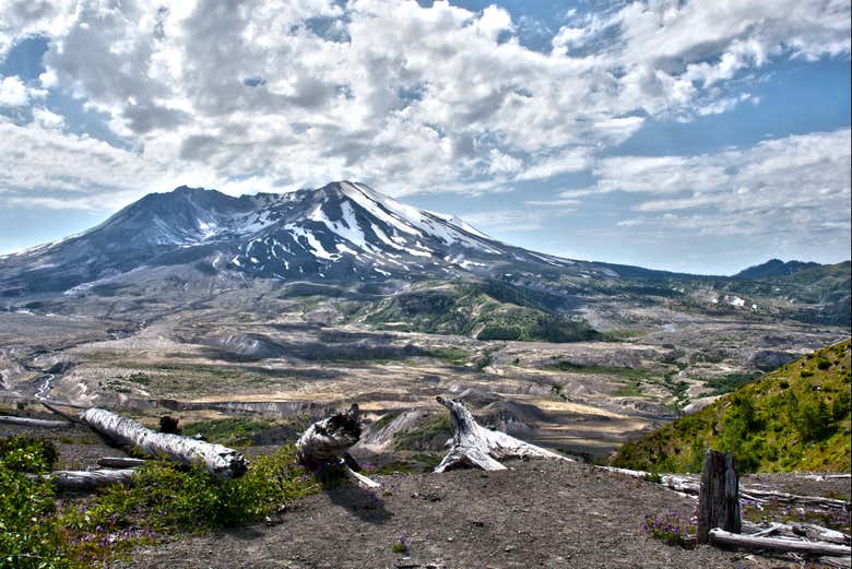 Mount St. Helens Day Trip from Seattle - Book at Civitatis.com