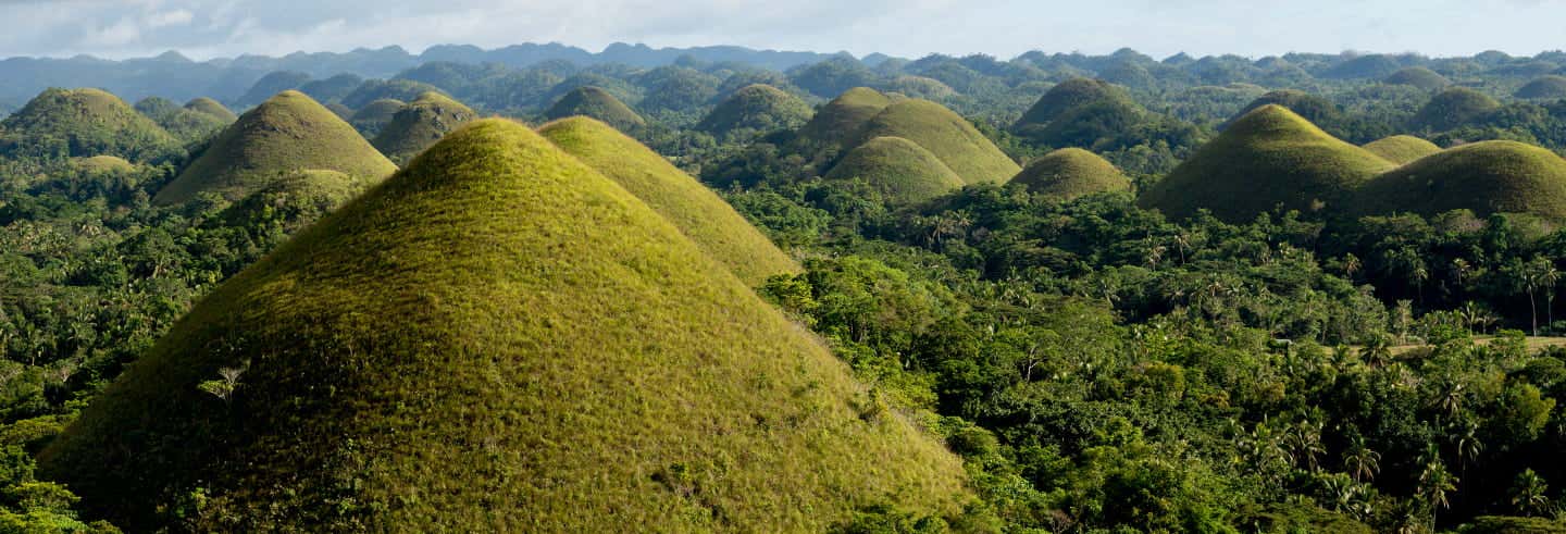 Activities, Guided Tours and Day Trips in Bohol - Civitatis.com