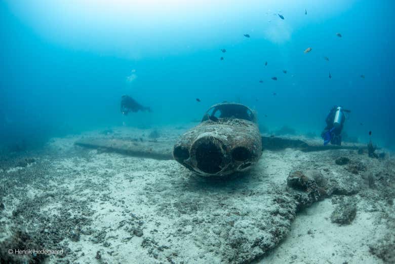 Scuba Diving in Moalboal - Book Online at Civitatis.com