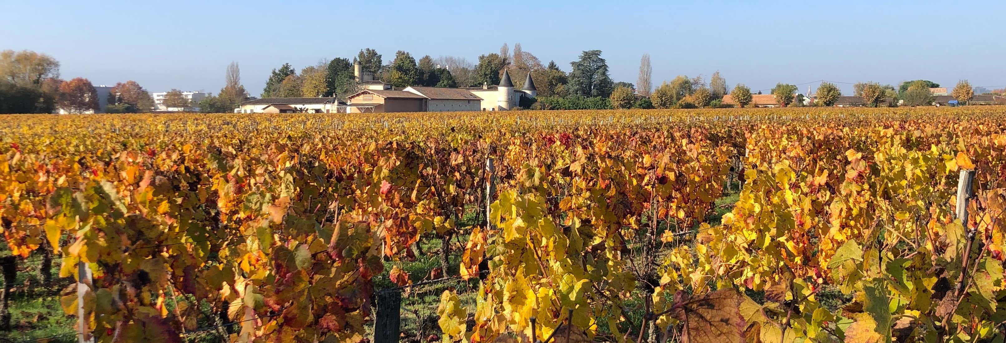 Excursiones, visitas guiadas y actividades en Pessac - Civitatis