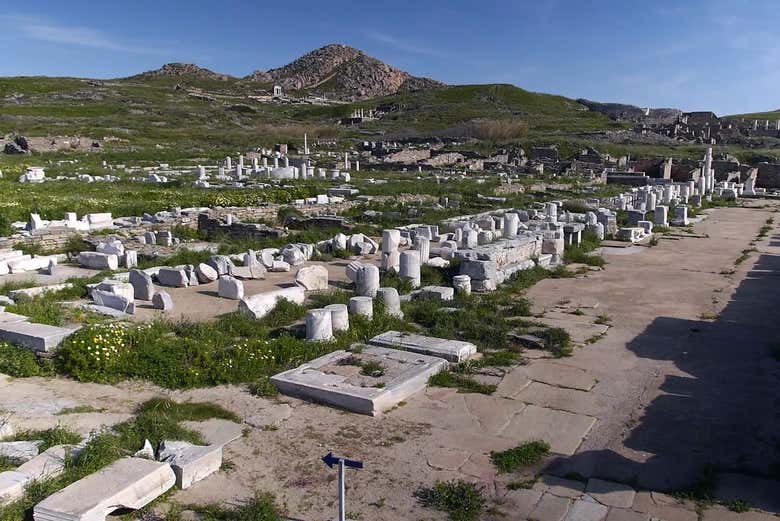 Delos Island Tour from Mykonos - Book Online at Civitatis.com