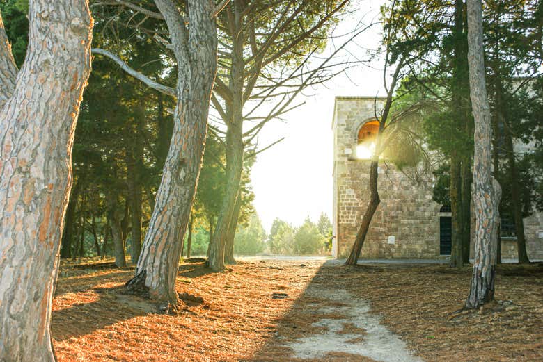 Mount Filerimos & Butterfly Valley Tour from Rhodes