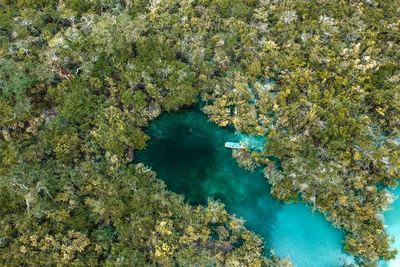 Excursión al Cráter Azul, Flores