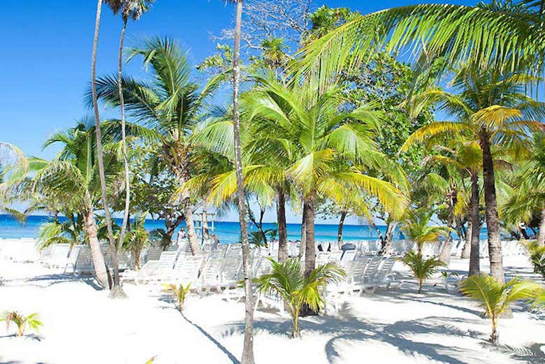 Escursione a Tabyana Beach da Roatán - Civitatis.com