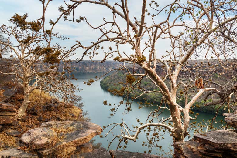 Chambal Valley Safari from Agra - Book Online at Civitatis.com