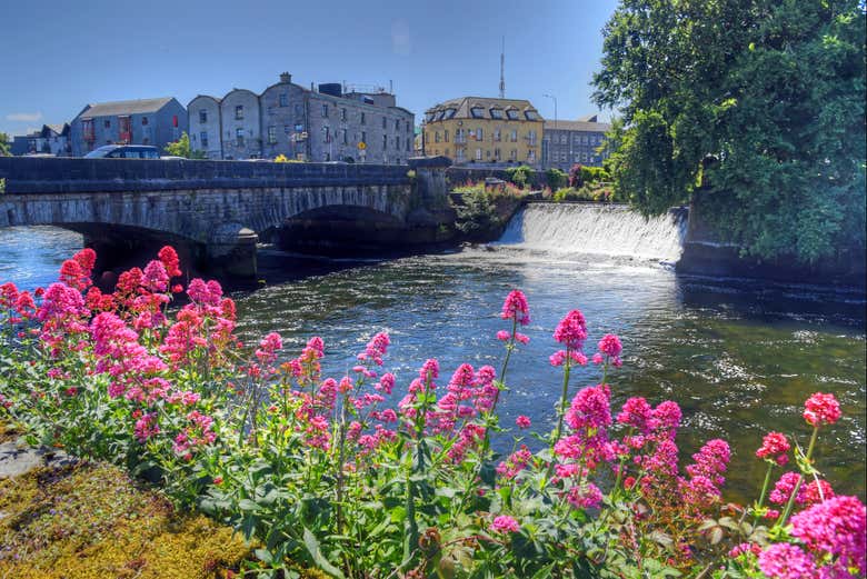 Free tour di Galway - Prenotazione online a Civitatis.com