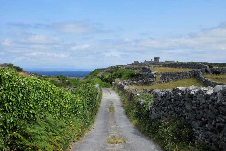 Inishmore Ferry from Rossaveel - Book Online at Civitatis.com