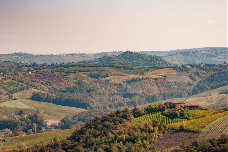 Visite guidée de Coni - Réservez en ligne sur Civitatis.com