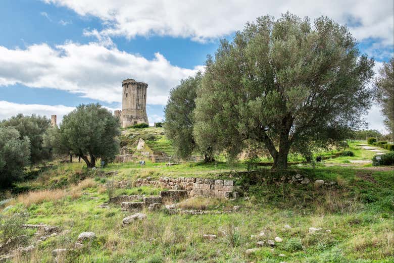 Velia Archaeological Park Excursion from Palinuro - Civitatis.com