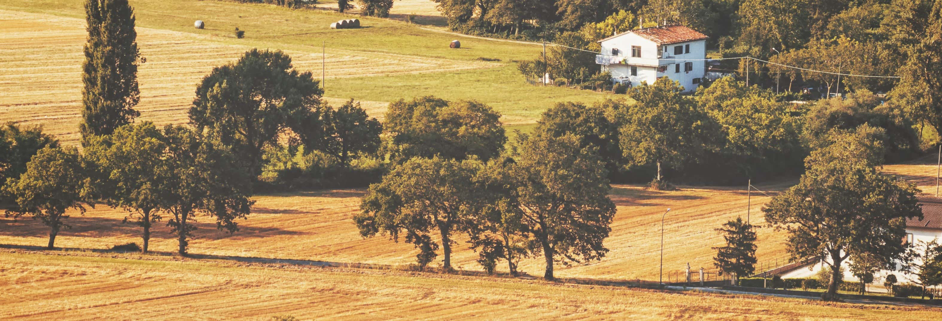 Excursiones, visitas guiadas y actividades en Sigillo - Civitatis