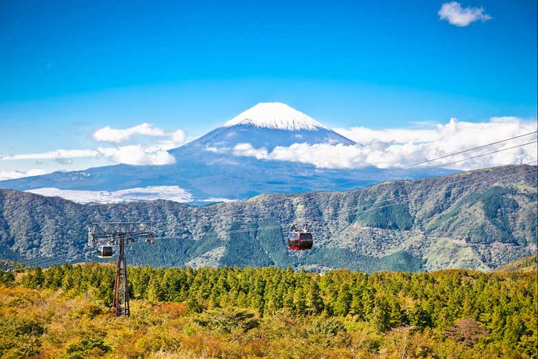Excursión al Monte Fuji desde Tokio con recogida de fruta