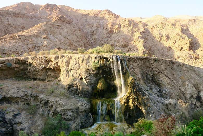 Ma'in Hot Springs Tour from Amman - Book Online at Civitatis.com