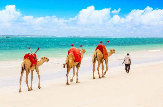 Visite guidate, attività e transfer in Kenya - Civitatis.com Visite guidate, attività e transfer in Kenya - Civitatis.com