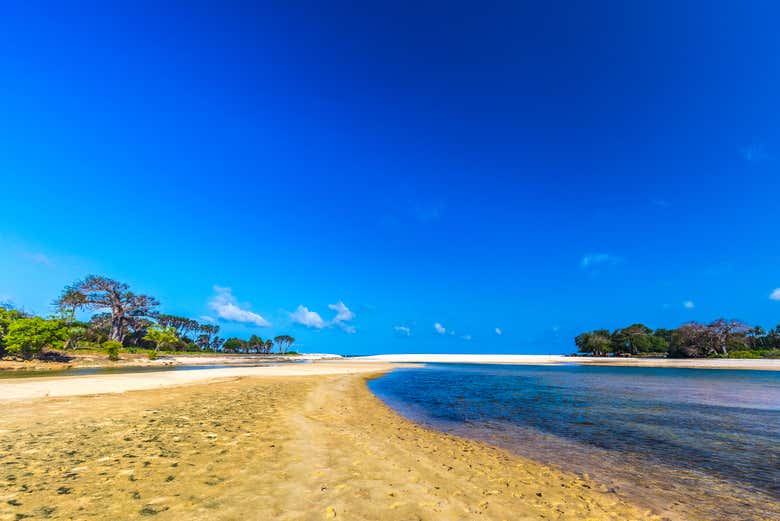 Day Trip Along the Kenyan Coast in Diani - Book at Civitatis.com