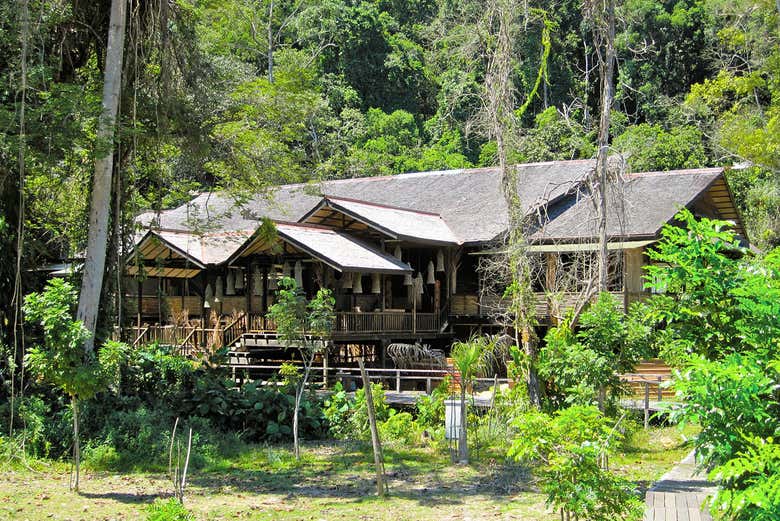 Escursione a Annah Rais Longhouse da Kuching - Civitatis.com