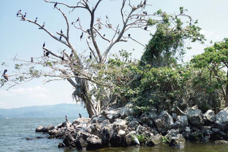 Excursión a los Tuxtlas y Catemaco desde Boca del Río