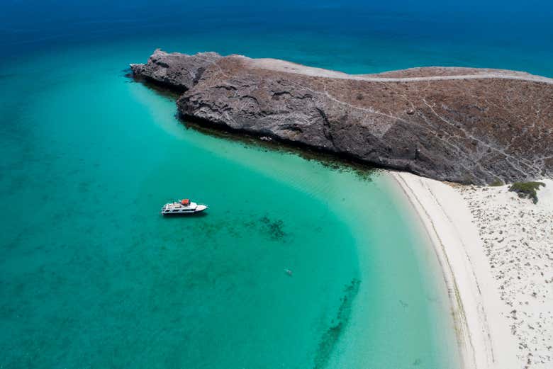 Excursión a la playa Balandra desde La Paz + Nado con lobos marinos