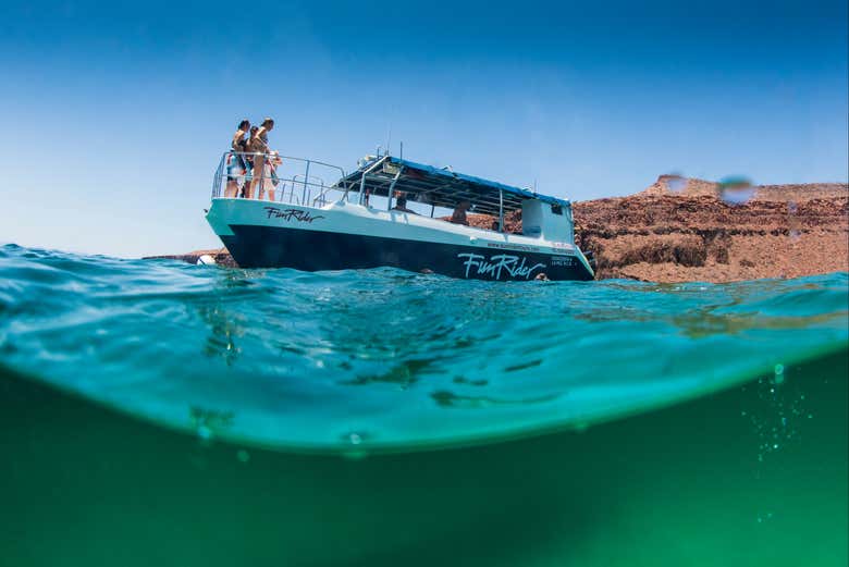 Excursión a la playa Balandra desde La Paz + Nado con lobos marinos
