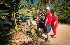 Excursiones, visitas guiadas y actividades en Manzanillo