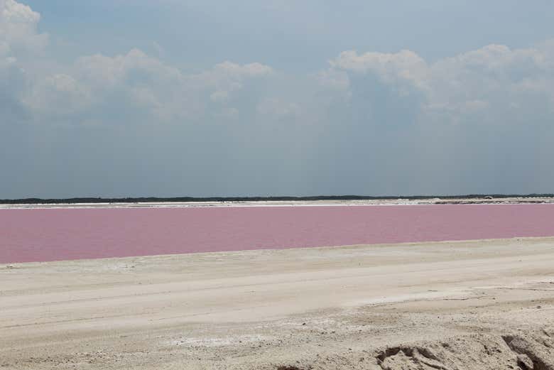 Excursión a Las Coloradas y Río Lagartos desde Mérida