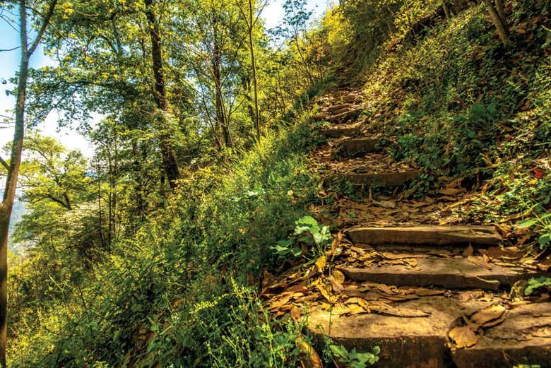 Trekking al Parco Ecologico Chipinque da Monterrey - Civitatis.com