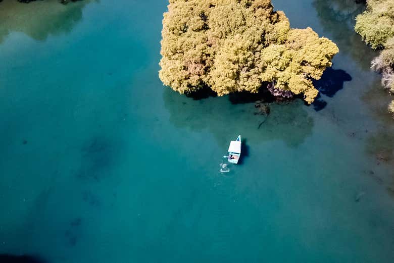 Excursión al santuario Guadalupano y lago de Camécuaro desde Morelia