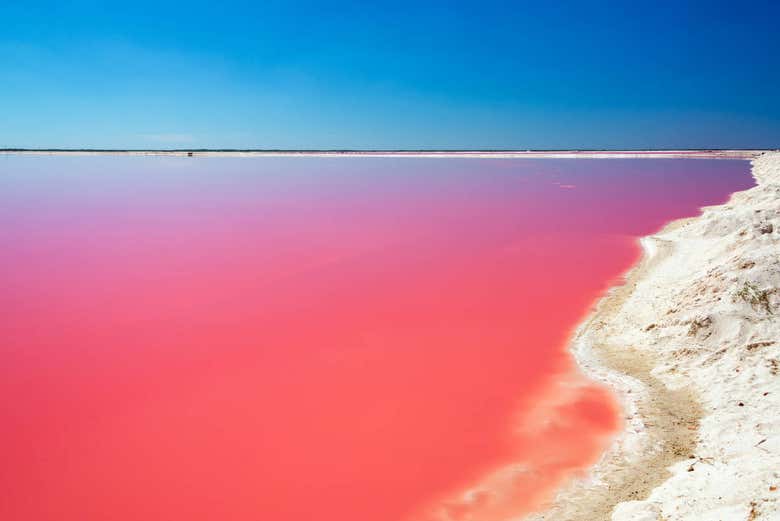 Excursión a Las Coloradas desde Riviera Maya, Playa del Carmen