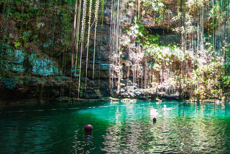 Kaan Luum Lagoon Excursion + Mariposa & Chen-Ha Cenotes in Akumal