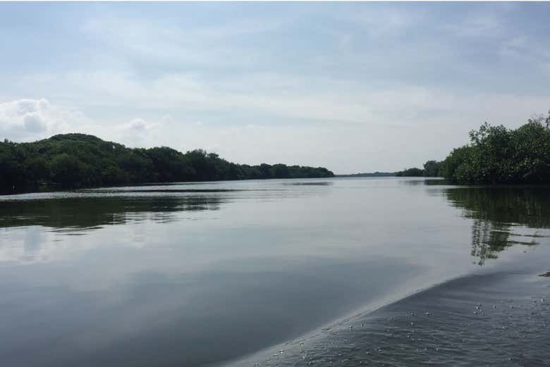 Excursión a Mandinga + Paseo en lancha desde Veracruz