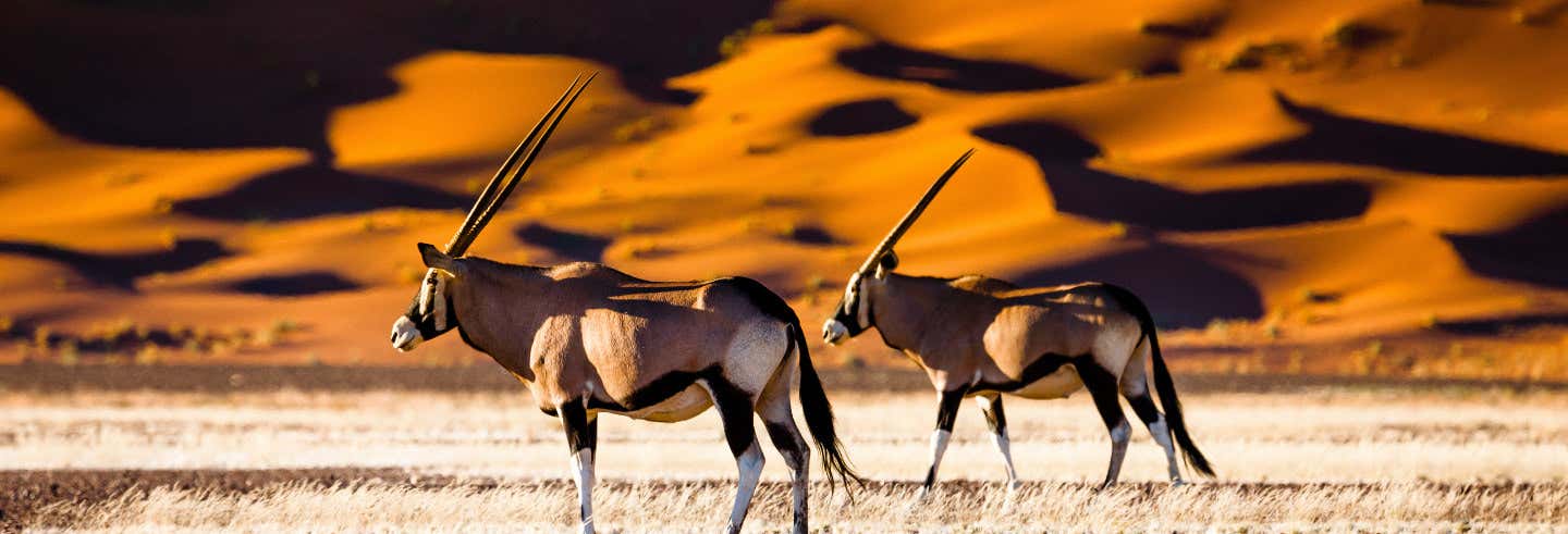 Namibia: the best activities, guided tours and museums | AllTrippers