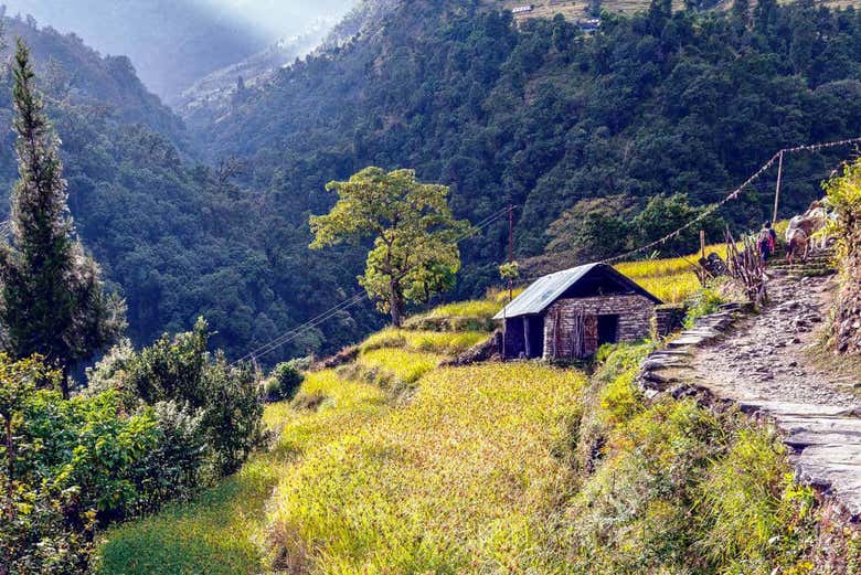Annapurna Base Camp Private 15 Day Trek from Katmandú, Kathmandu